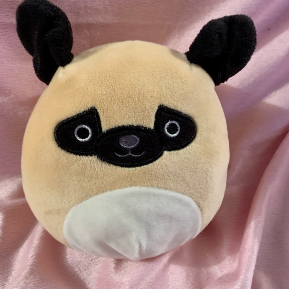 Squishmallows | Toys | Squishmallow 5 Inch | Poshmark
